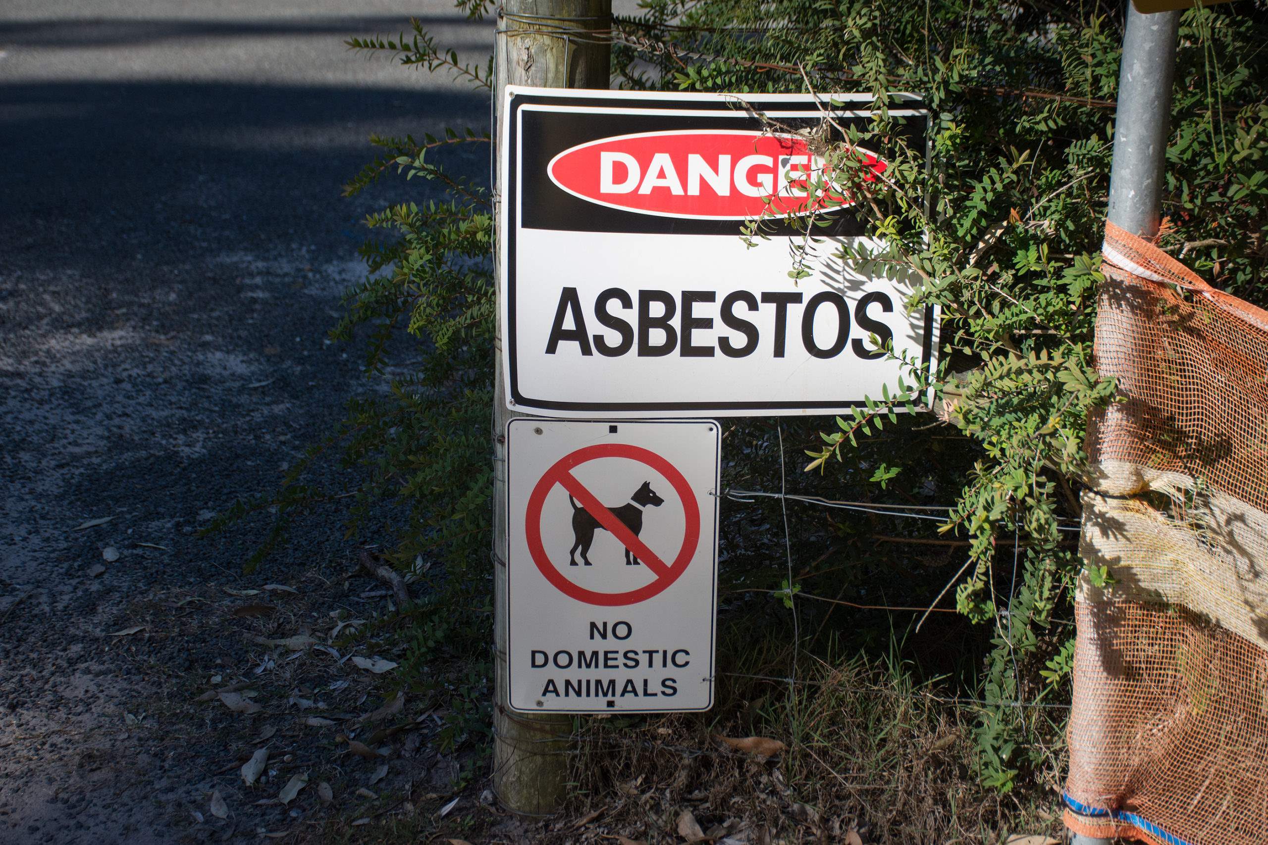 Risks Of Asbestos Exposure And Mesothelioma